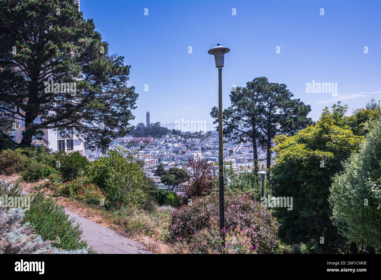 San Francisco and the Coit Tower view from above, California, USA Stock ...