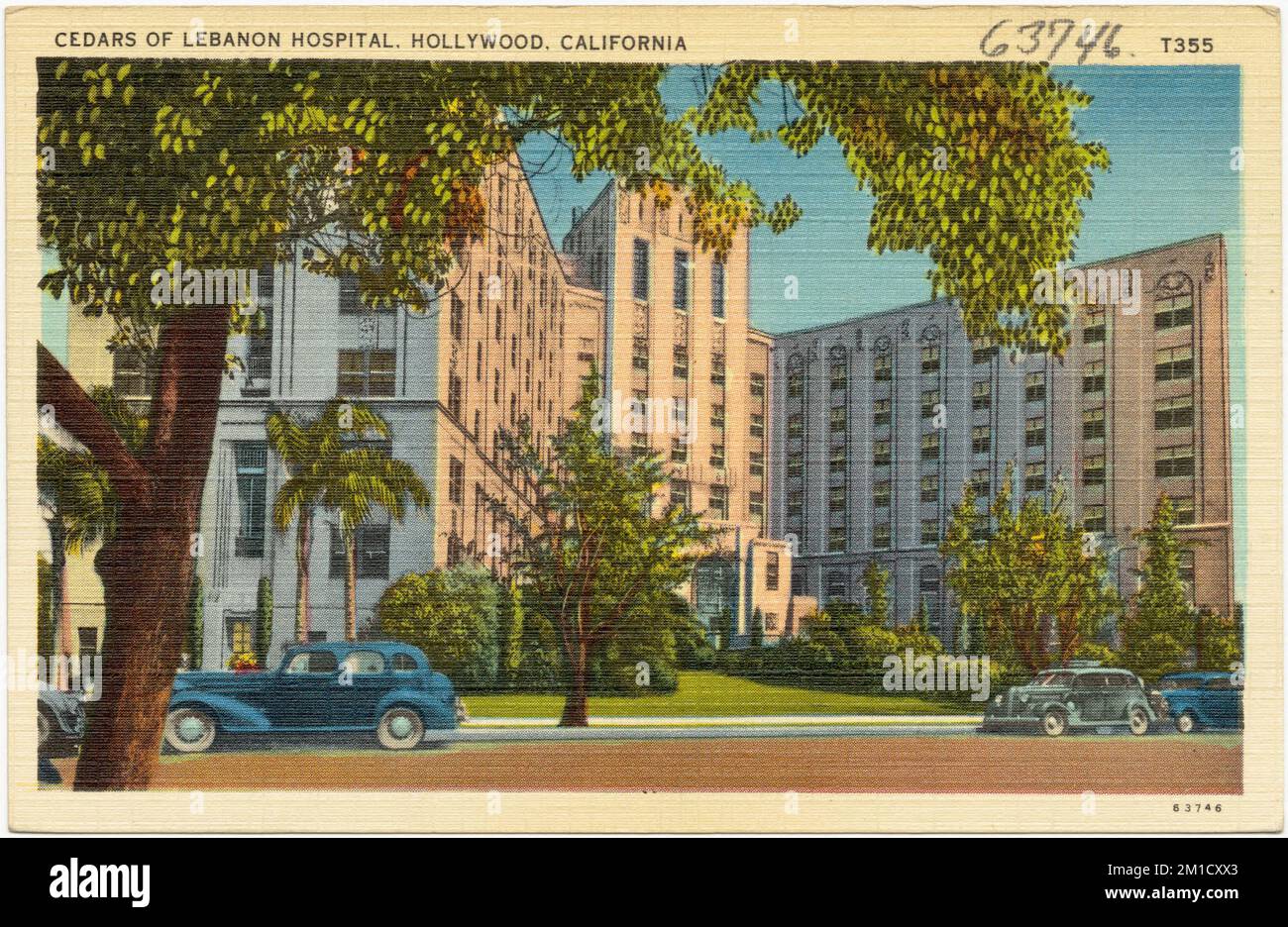 Cedars of lebanon hospital hi-res stock photography and images - Alamy