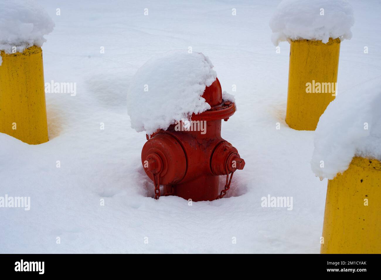 A red fire plug covered in snow, in Troy, Montana Stock Photo - Alamy