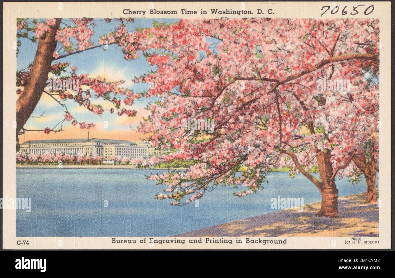 Cherry blossom time in Washington, D. C. Bureau of Engraving and ...