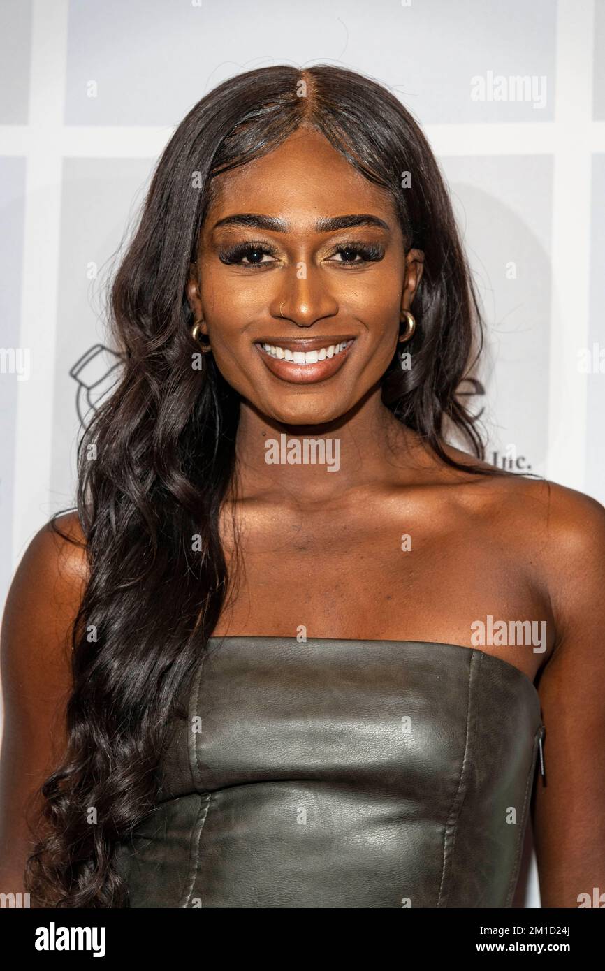 Los Angeles, USA. 11th Dec, 2022. Amalla Grace attends Seyi Brown's Los Angeles "Culture Shock ...