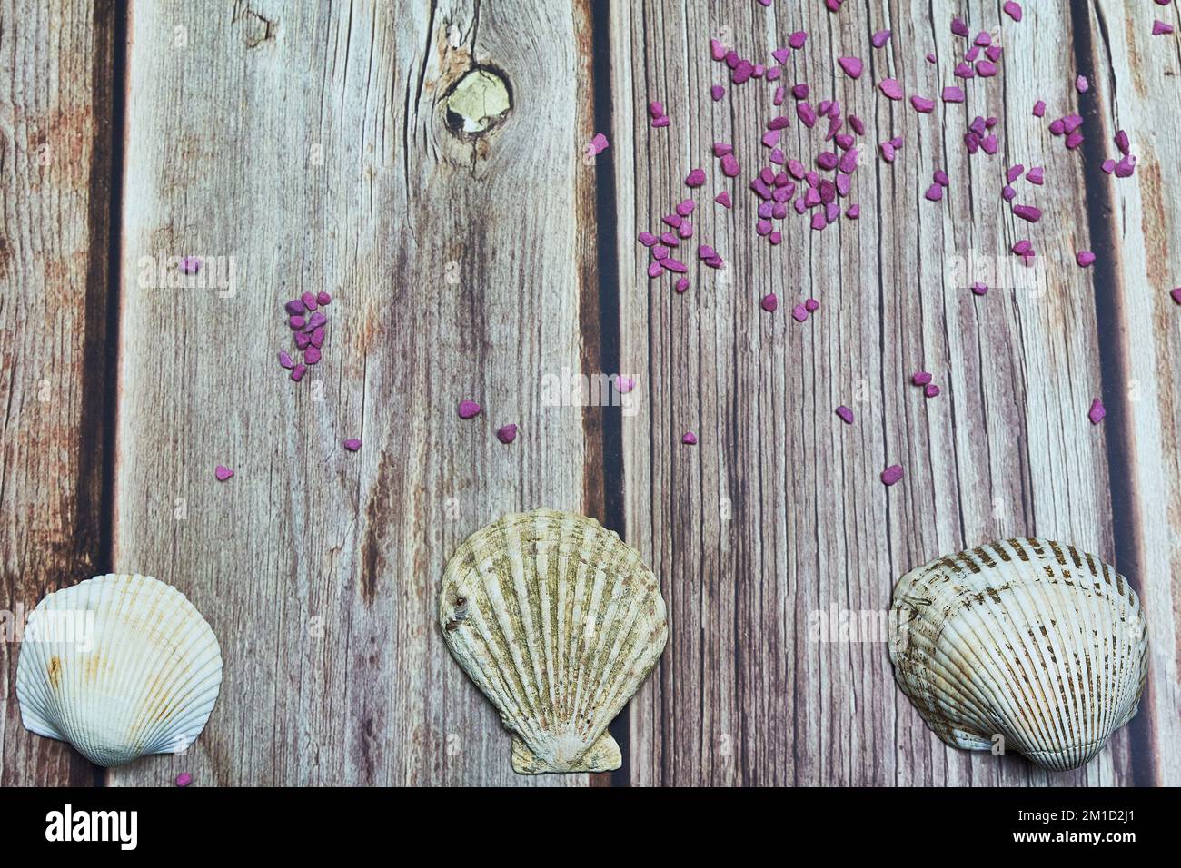 sea shells on old hard wood floor with small purple rocks Stock Photo ...