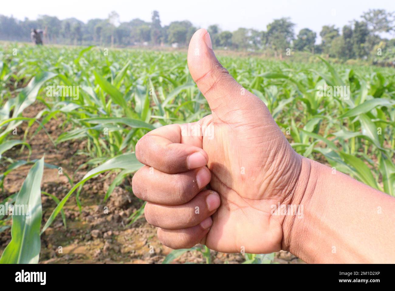 Office health and safety signs hi-res stock photography and images - Alamy