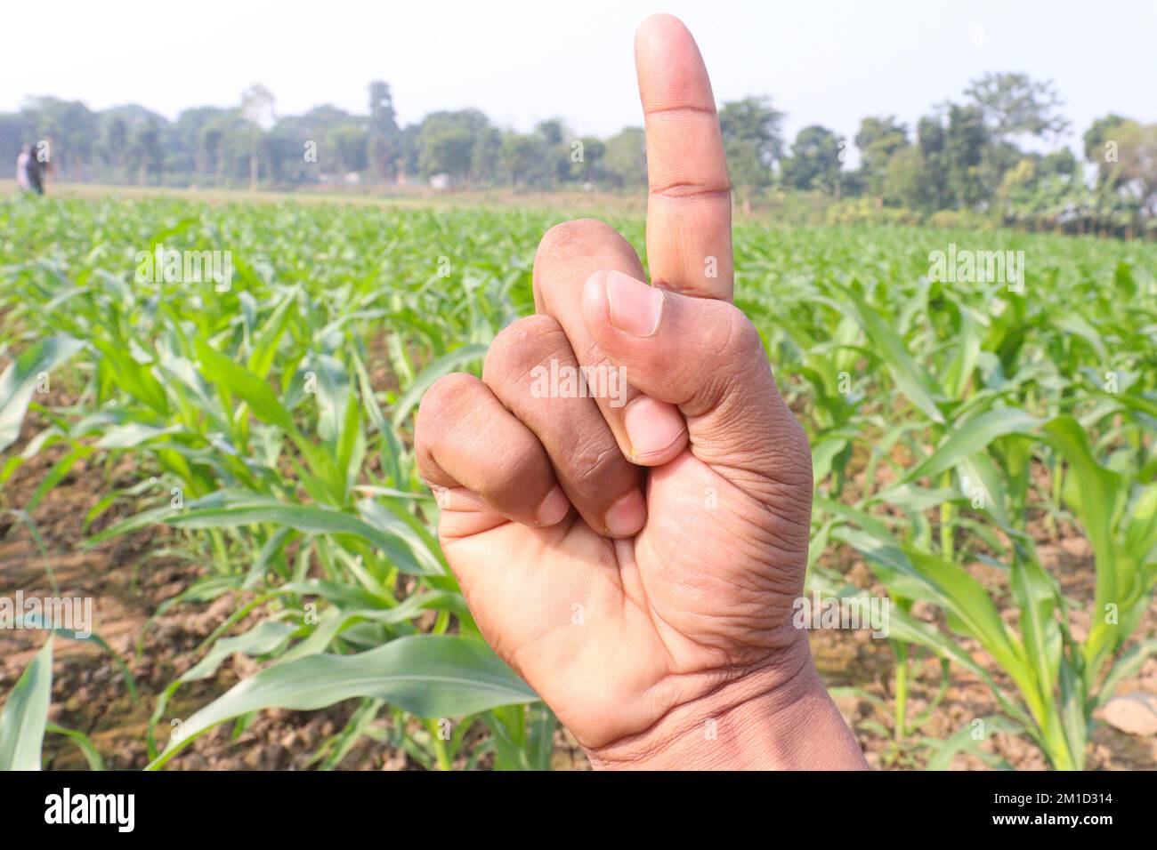 Office health and safety signs hi-res stock photography and images - Alamy