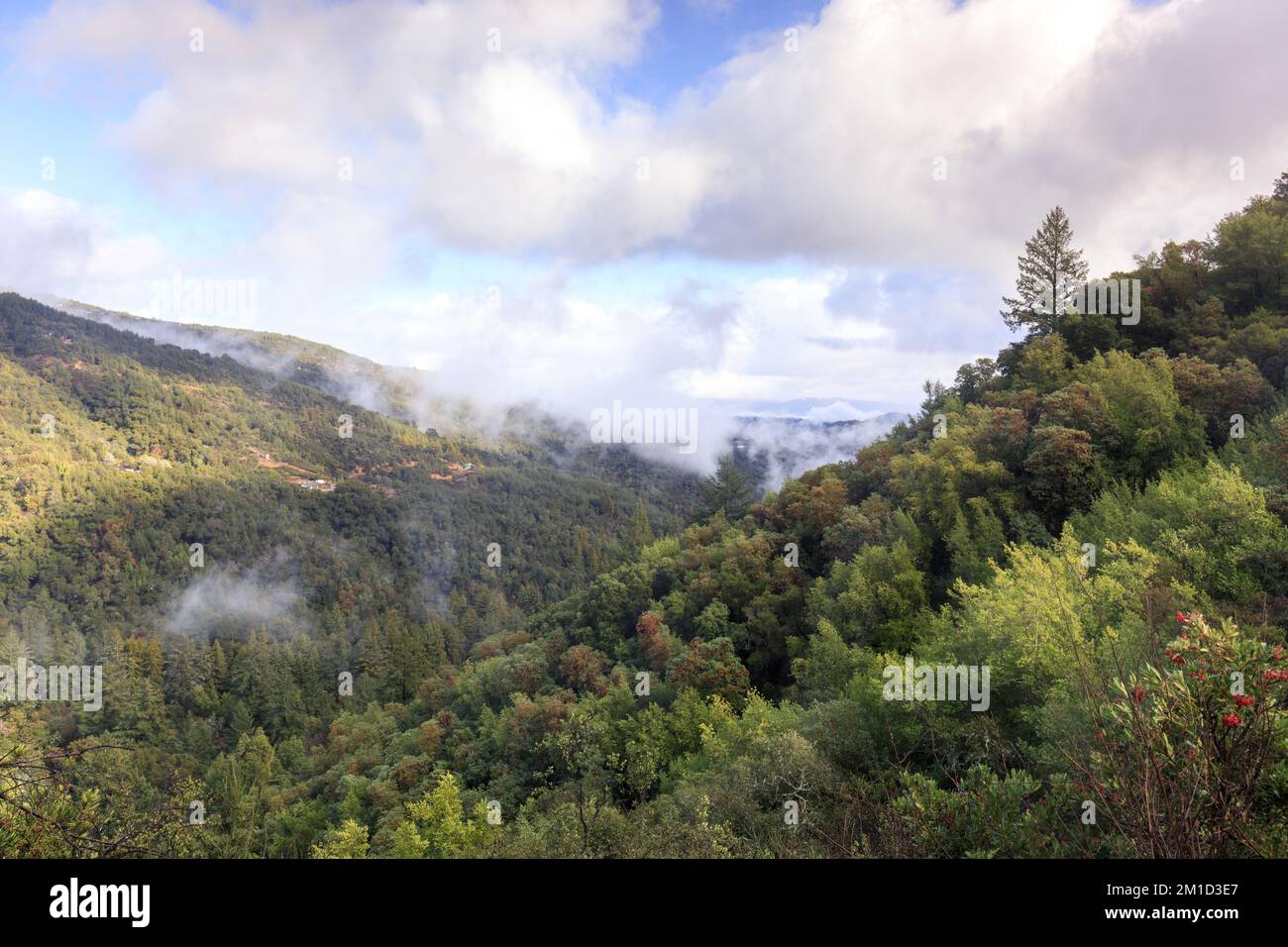 Views above Uvas Canyon after Storm Clears. Morgan Hill, Santa Clara ...
