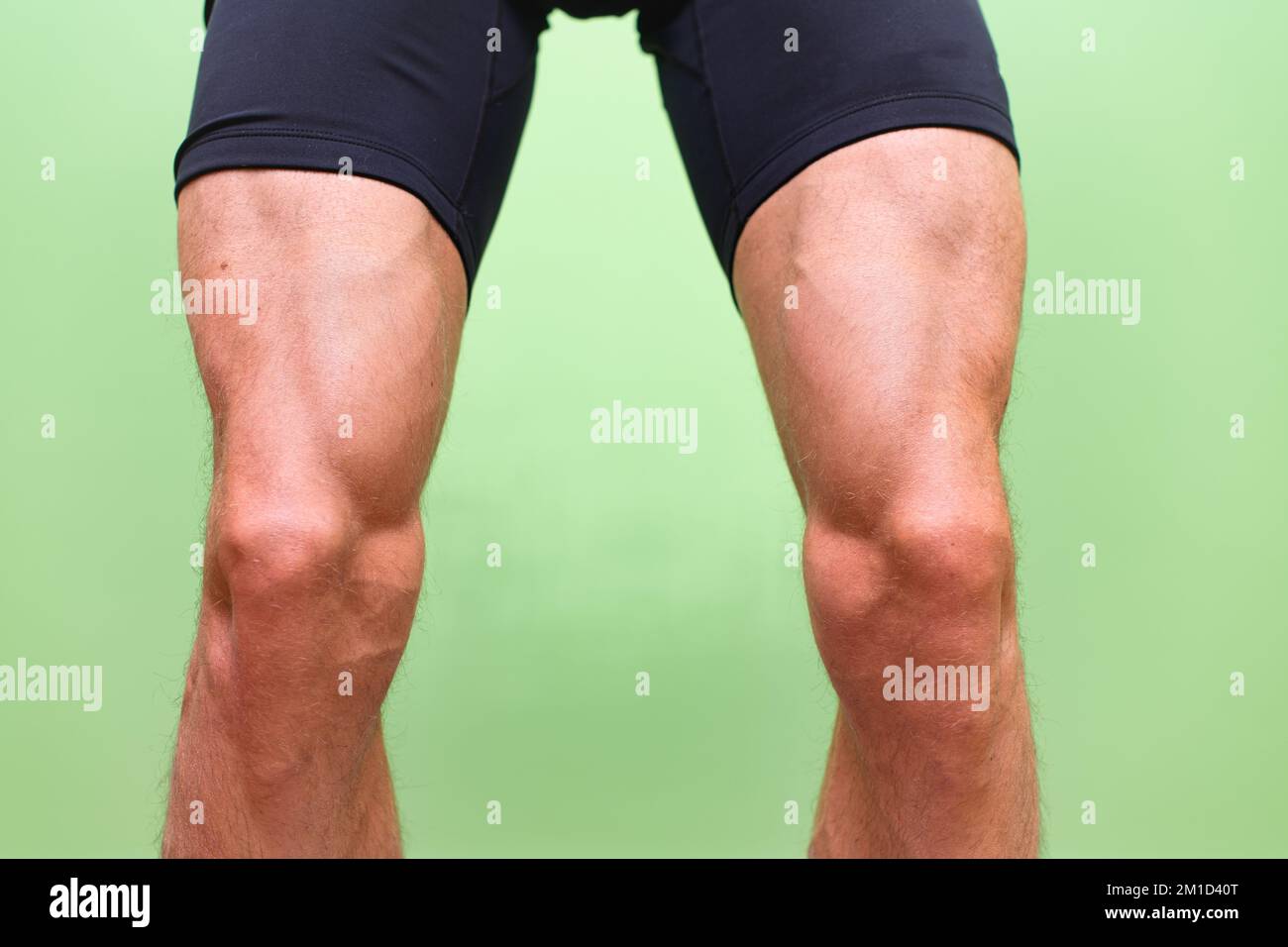 Quadriceps muscles of a marathon runner in tension Stock Photo - Alamy