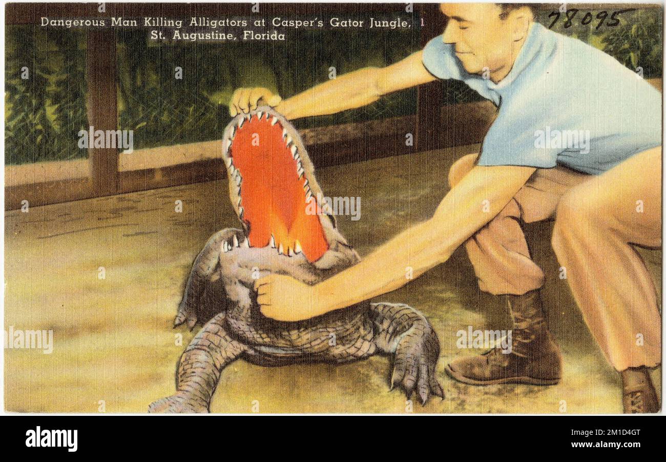 Gator Jungle Plant City 1990