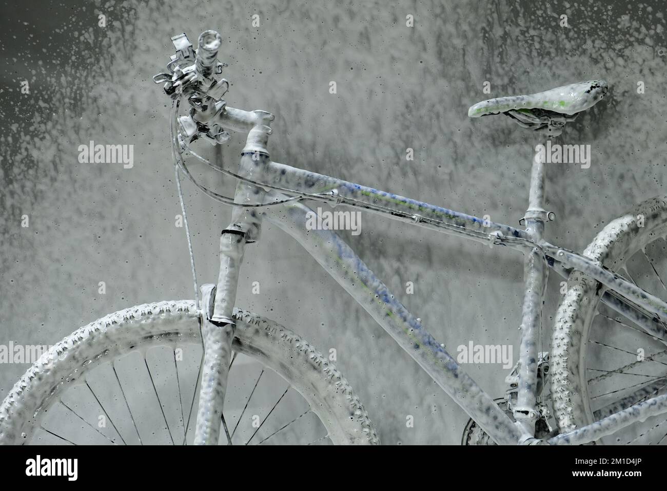 Washing bike with sponge hi-res stock photography and images - Alamy