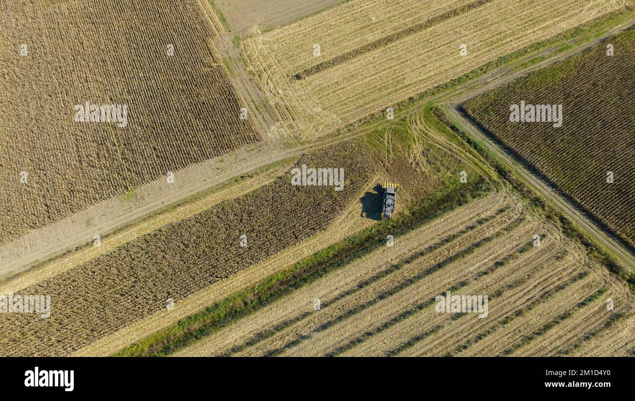Farm field, farmers work with tractor on farmland Stock Photo - Alamy