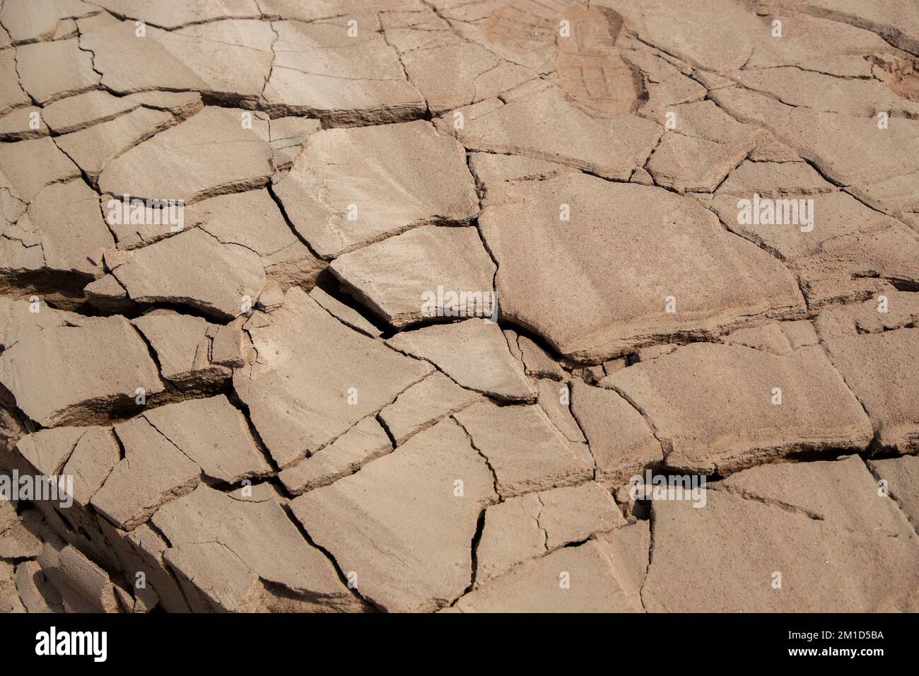 Dried cracked earthen soil. Hot climate, sunny weather without rain ...