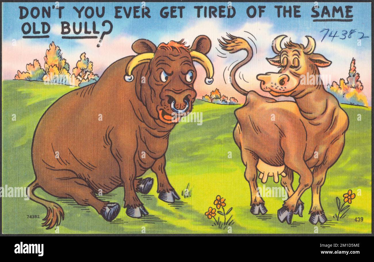 Don't you ever get tired of the same old bull? , Bulls, Cows, Tichnor ...
