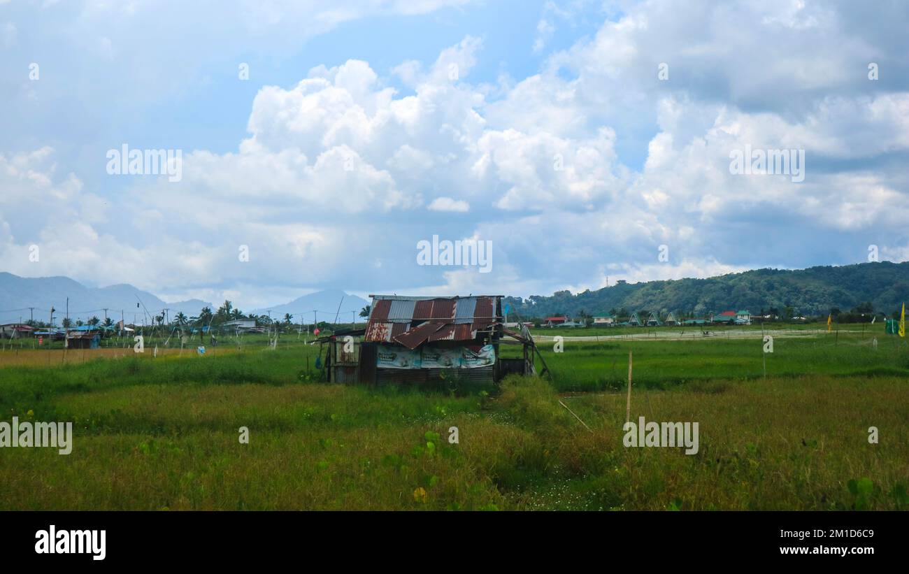 cabin in the middle of beautiful rice fields with cloudy skies Stock ...