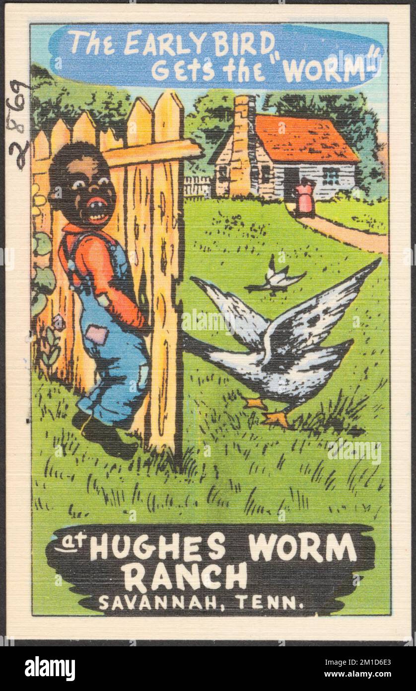 The early bird gets the 'worm' at Hughes worm ranch, Savannah, Tenn ...