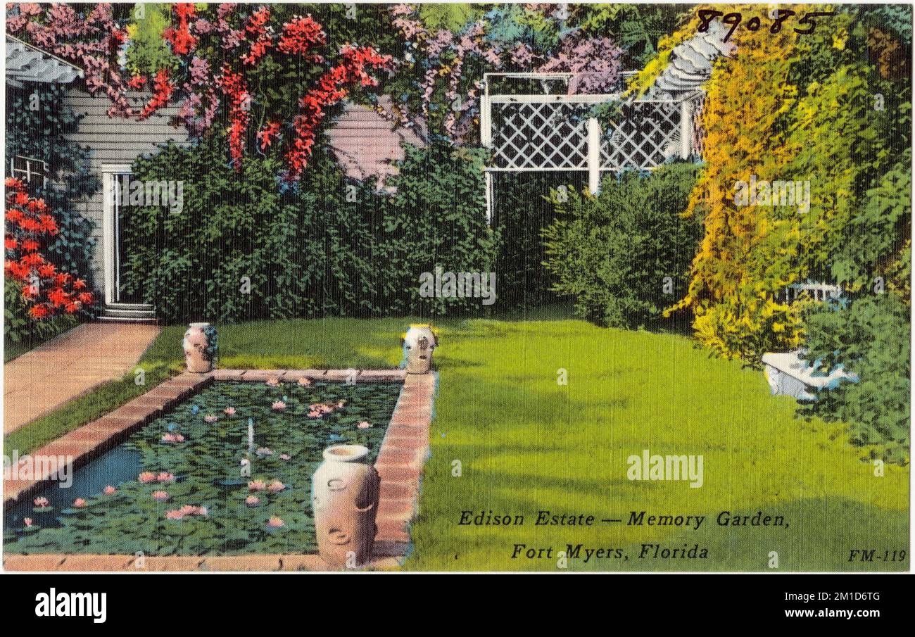 Edison Estate- Memory Garden, Fort Myers, Florida , Tichnor Brothers ...