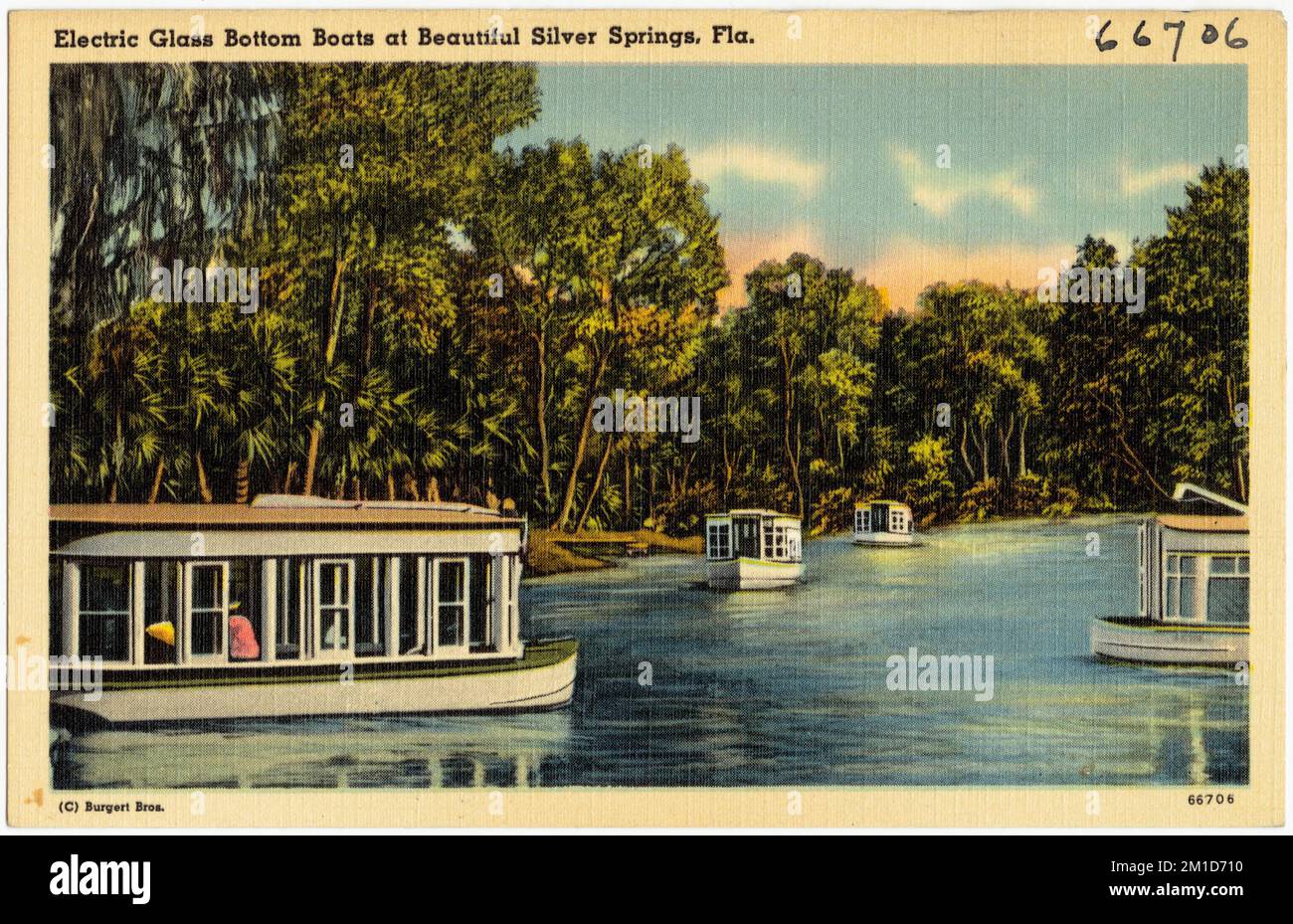Electric glass bottom boats at beautiful Silver Springs, Florida , Boats, Tichnor Brothers ...
