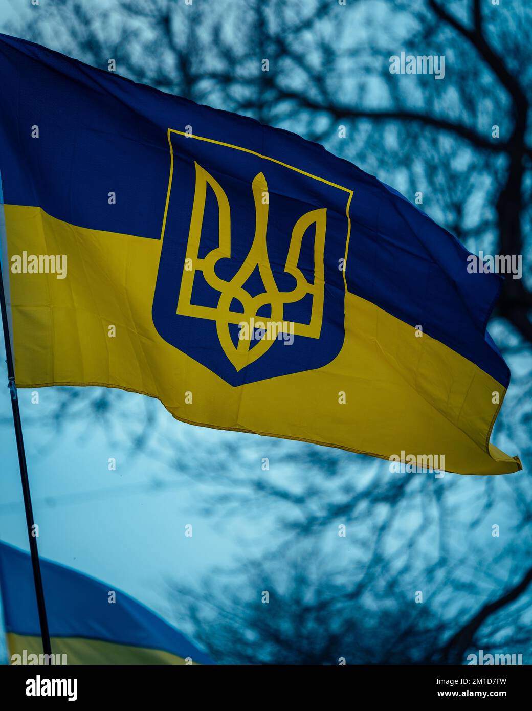 A vertical shot of the Ukraine flag with the coat of arms with trees in ...