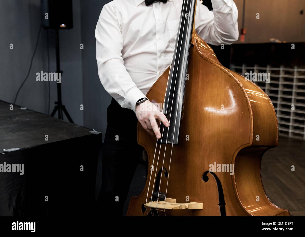 elegant musician in a white shirt plays the double bass. Jazzman Stock ...