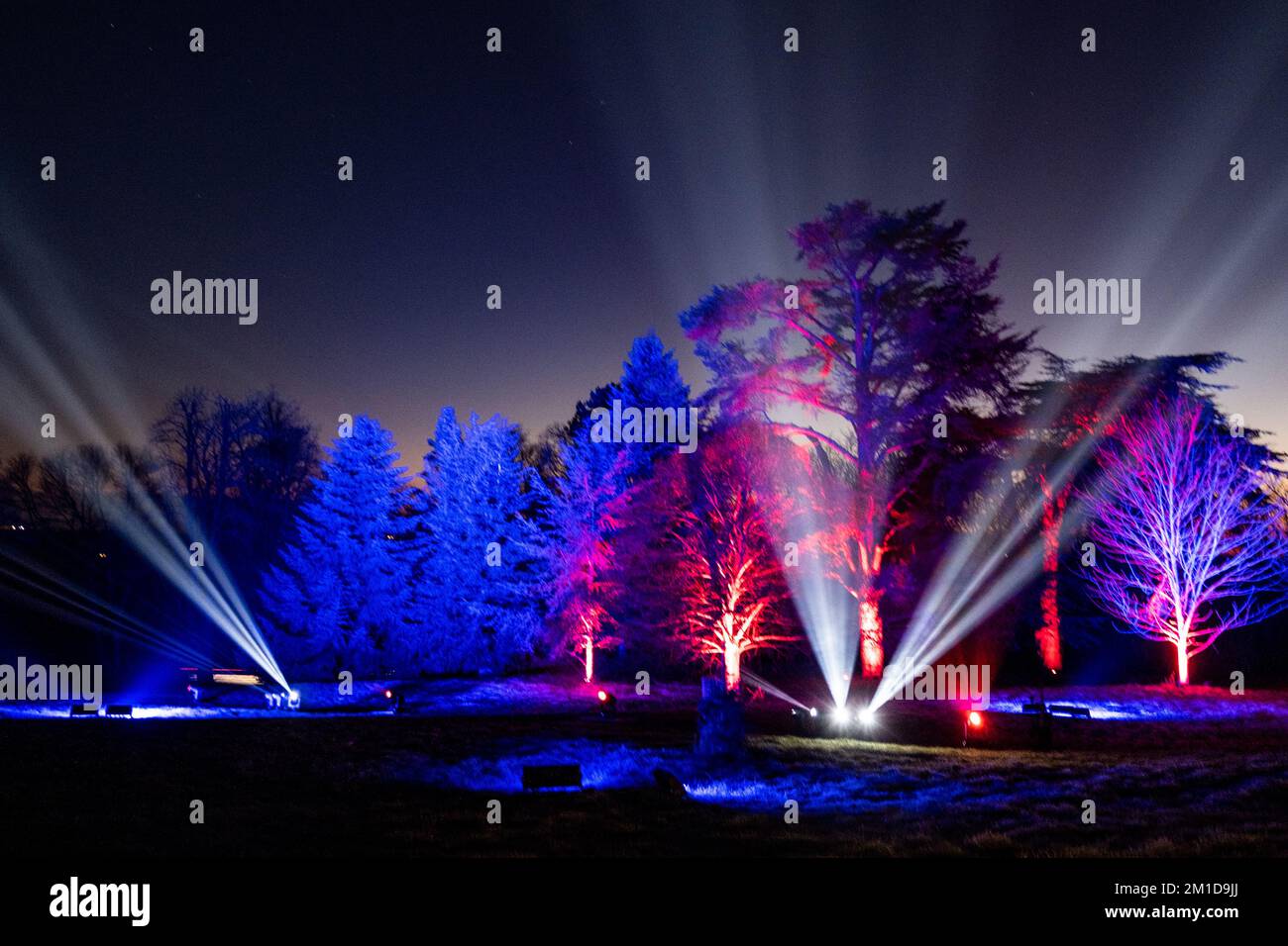 The Waddesdon Manor Christmas winter lights trail Stock Photo - Alamy