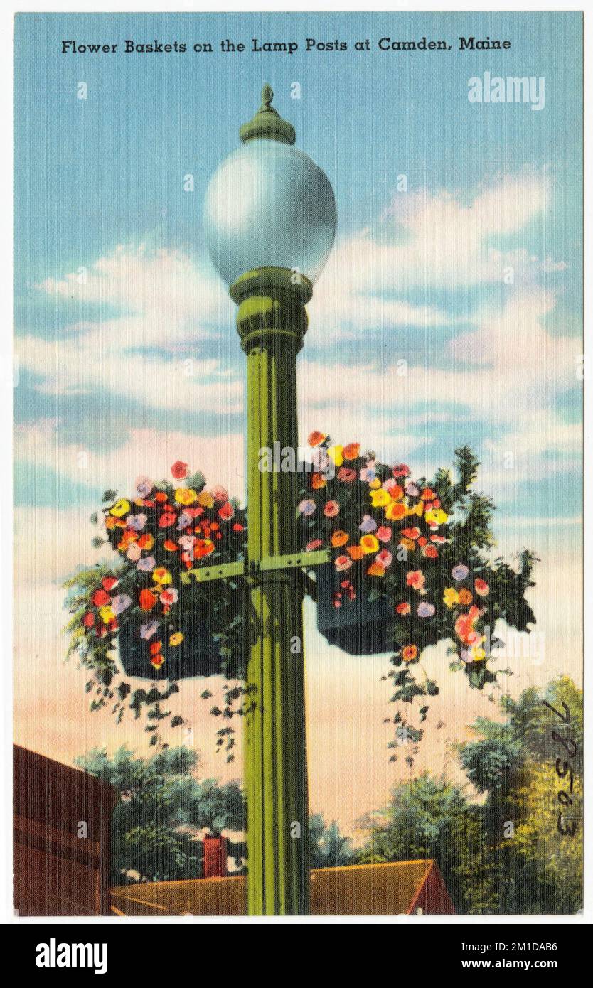 Flower baskets on the lamp posts at Camden, Maine , Tichnor Brothers ...