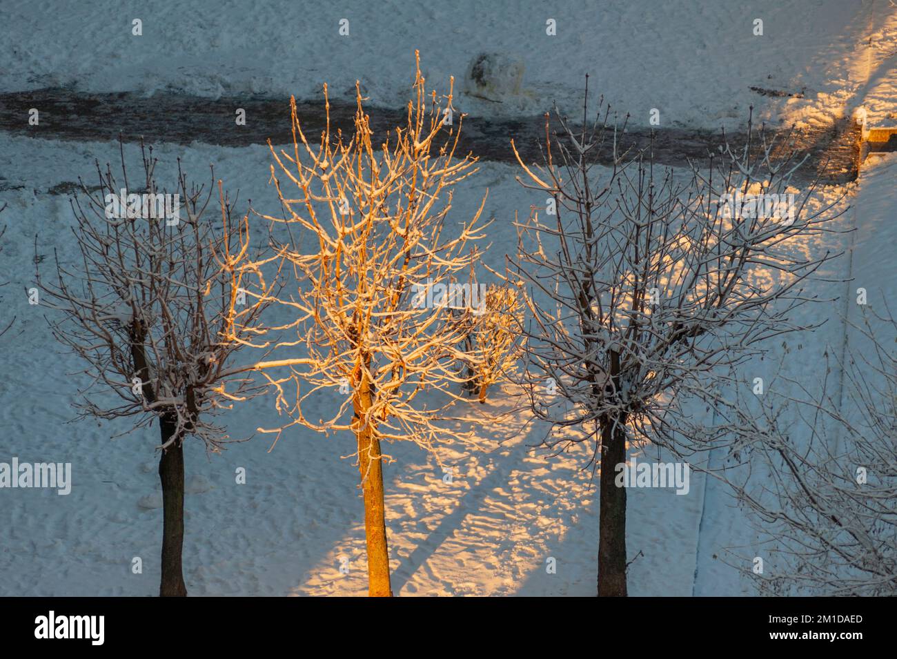 Lit by setting sunlight hi-res stock photography and images - Alamy