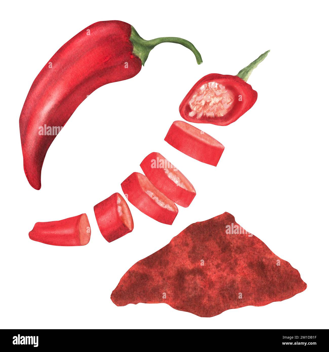 Hand-drawn watercolor paprika. Pepper pod, slices and dried powder. A ...