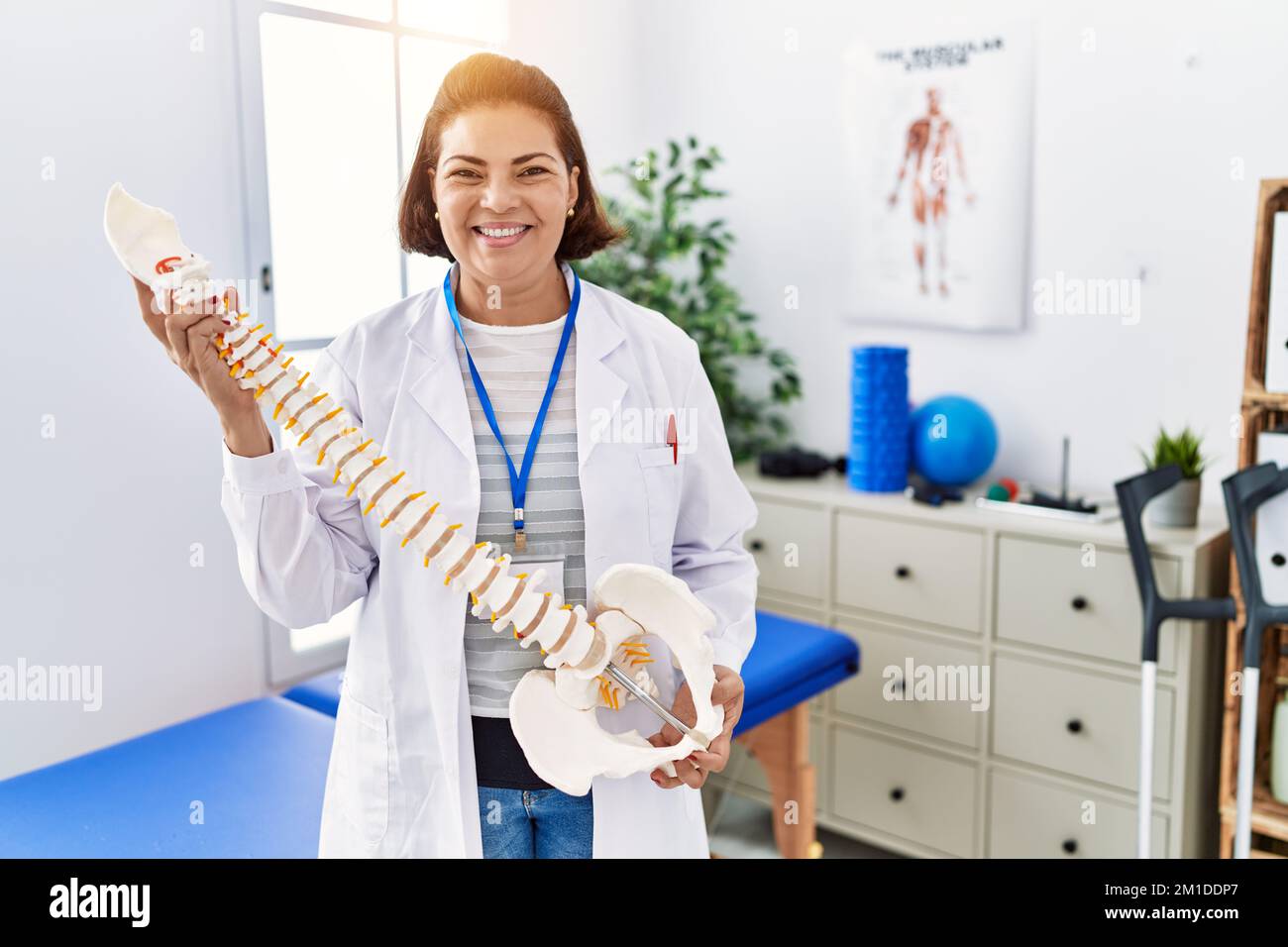 Middle age hispanic physiotherapy woman holding anatomical model of ...