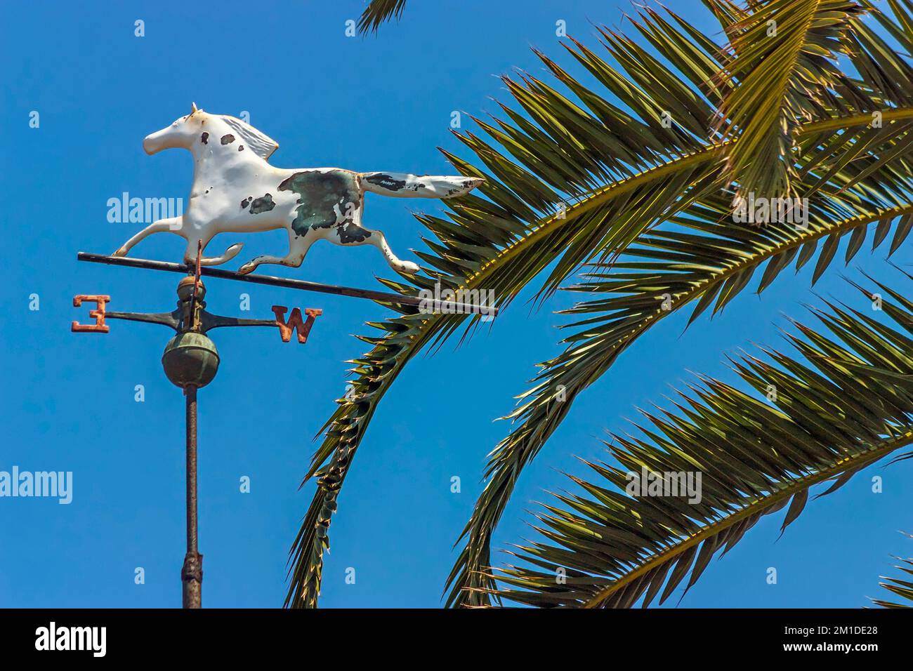 Old weather vane with horse in San Diego,California Stock Photo - Alamy