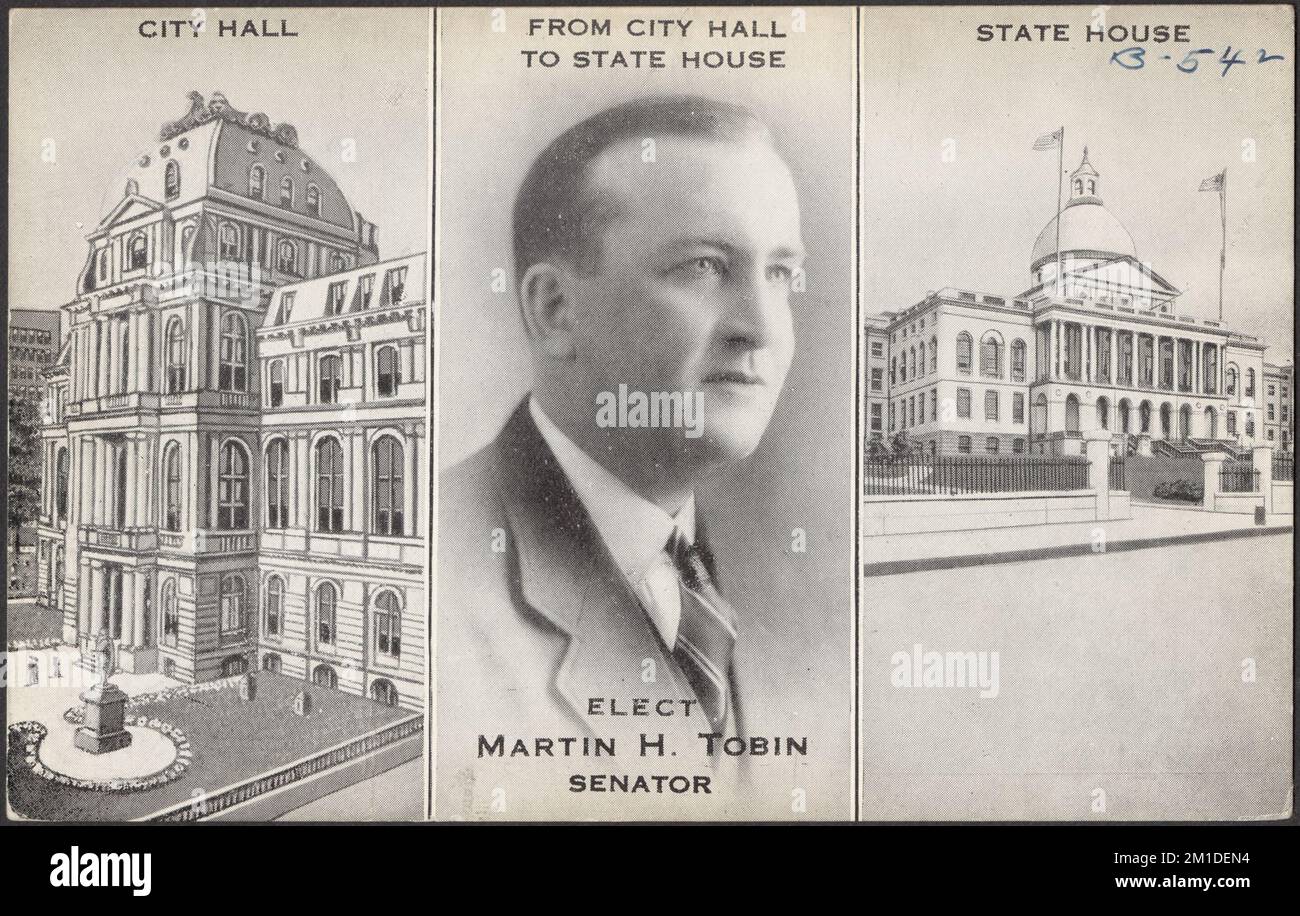 From City Hall to State House, elect Martin H. Tobin senator ...