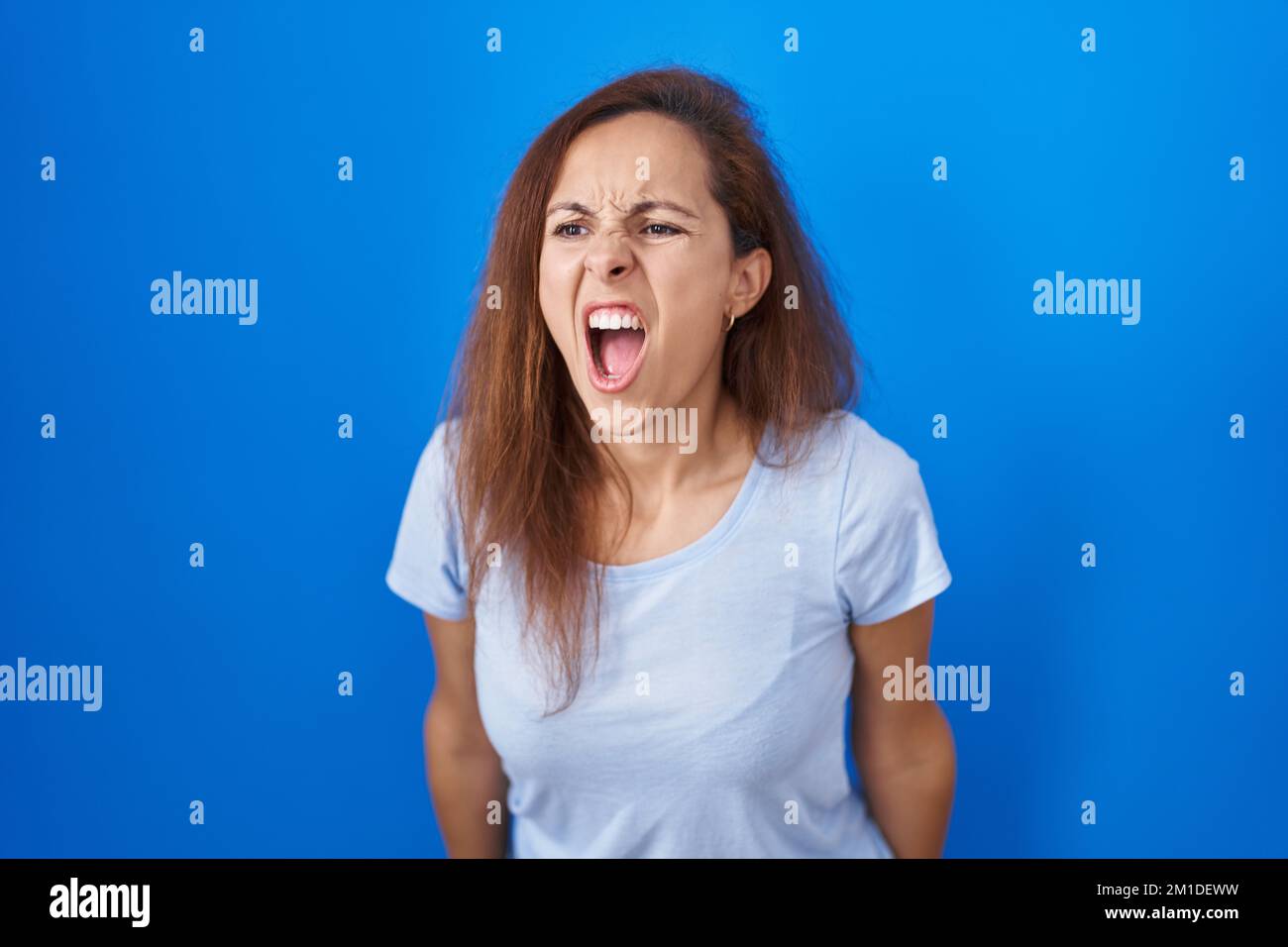 Brunette woman standing over blue background angry and mad screaming ...