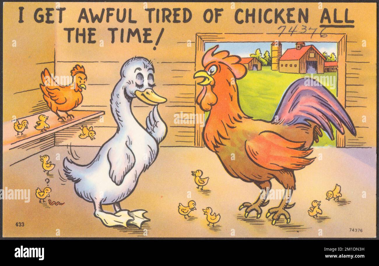 I get awful tired of chicken all the time! , Chickens, Ducks, Tichnor ...