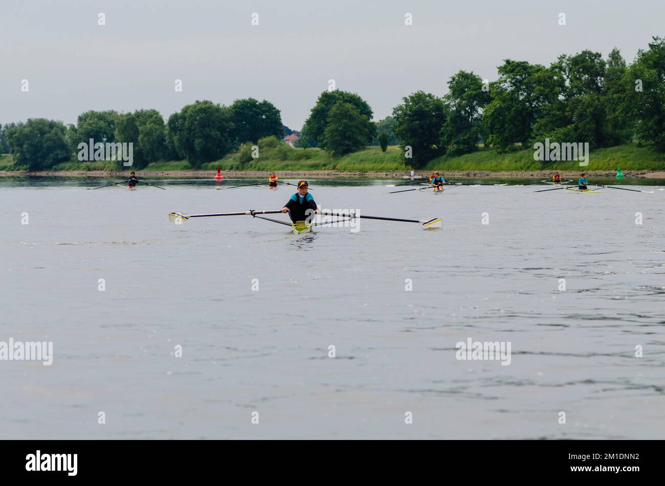 A boy is rowing a sports rowing boat on the river Elbe Stock Photo - Alamy