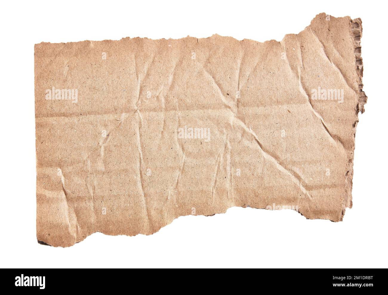 One ripped piece of cardboard material over isolated white background ...