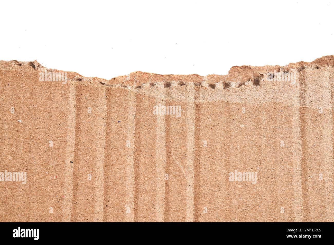 One ripped piece of cardboard material over isolated white background ...