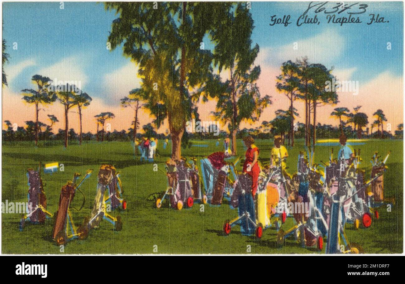 Golf Club, Naples, Florida , Sports & recreation facilities, Tichnor ...