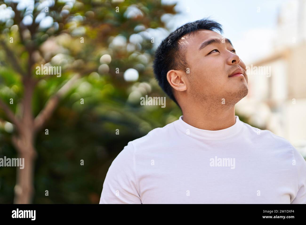 Young chinese man smiling confident looking to the sky at park Stock ...