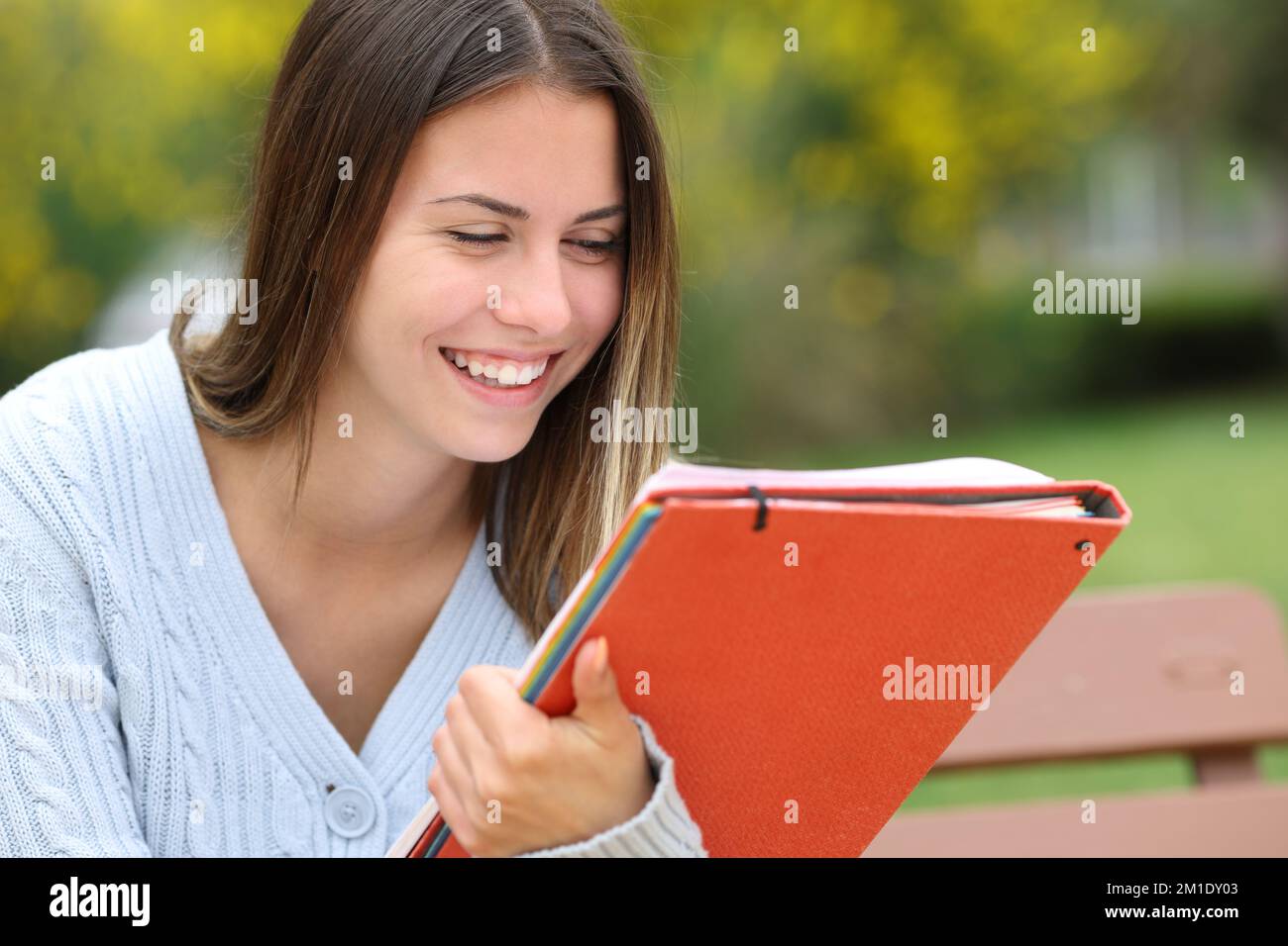 Happy student reading notes sitting in a bench in a park Stock Photo ...