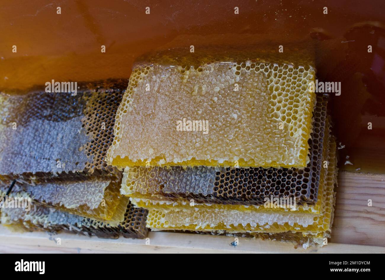 Sweet fresh honey in the sealed comb frame Stock Photo - Alamy