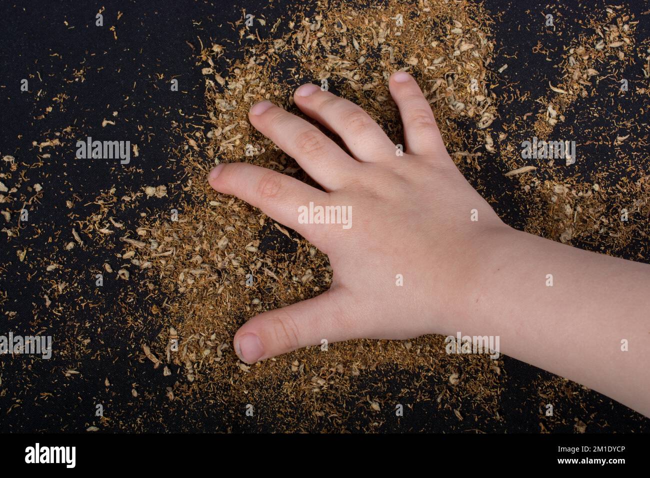 Toddlers hand on tobacco on black ground Stock Photo - Alamy
