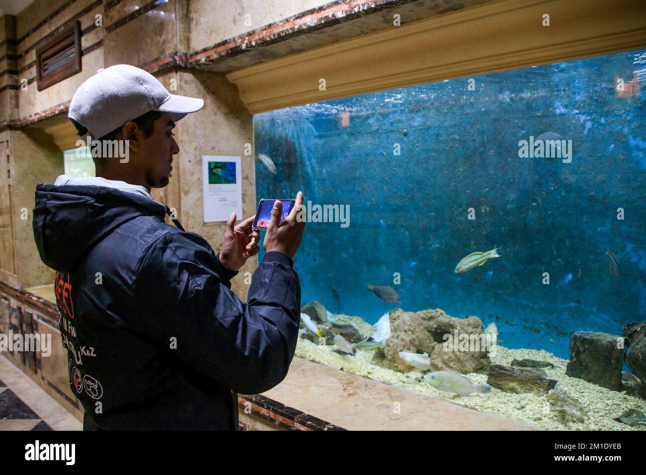 Alexandria, Alexandria Governorate, Egypt. 8th Dec, 2022. Alexandria ...