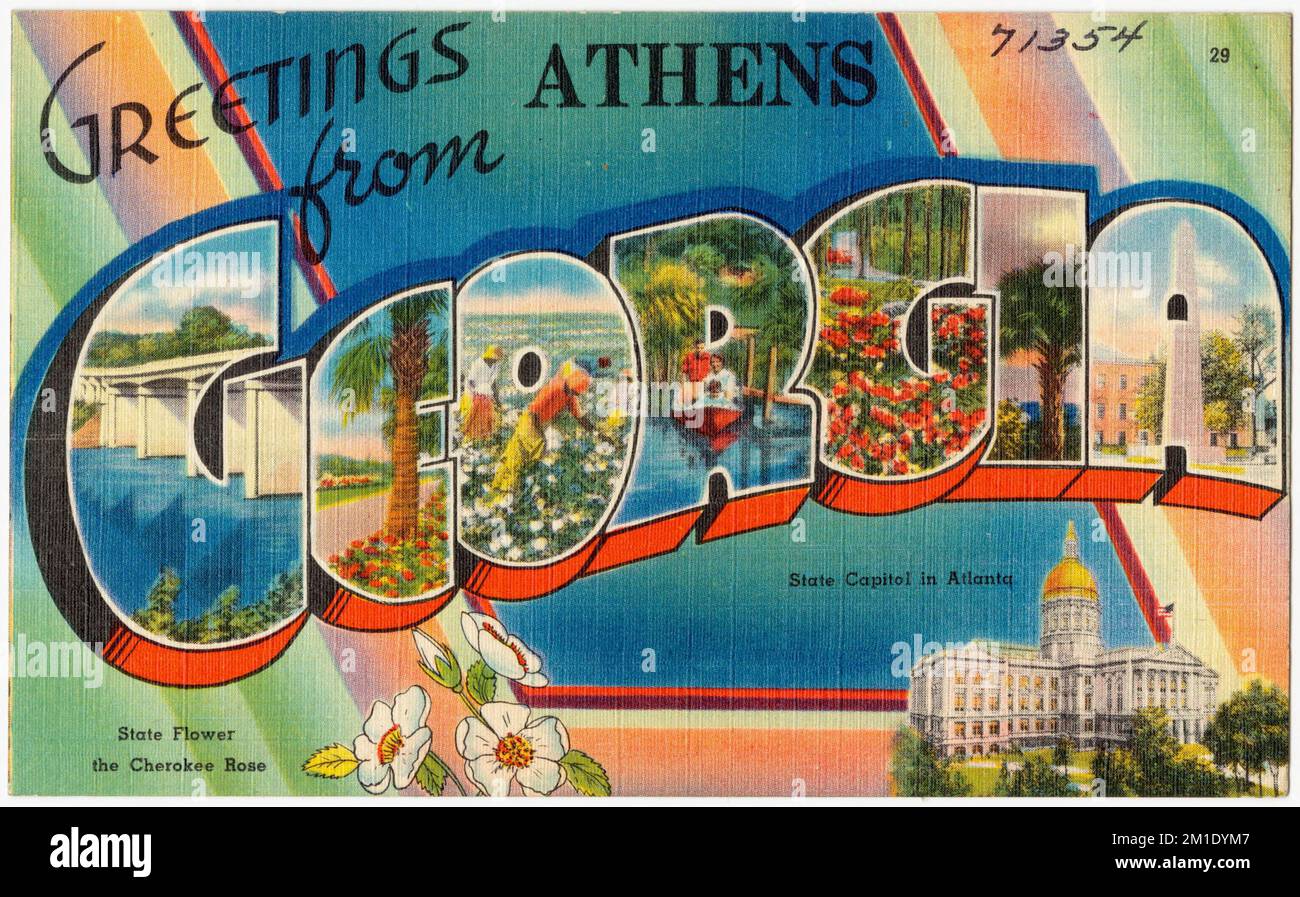 Greetings from Athens Georgia -- state flower the Cherokee Rose, state ...