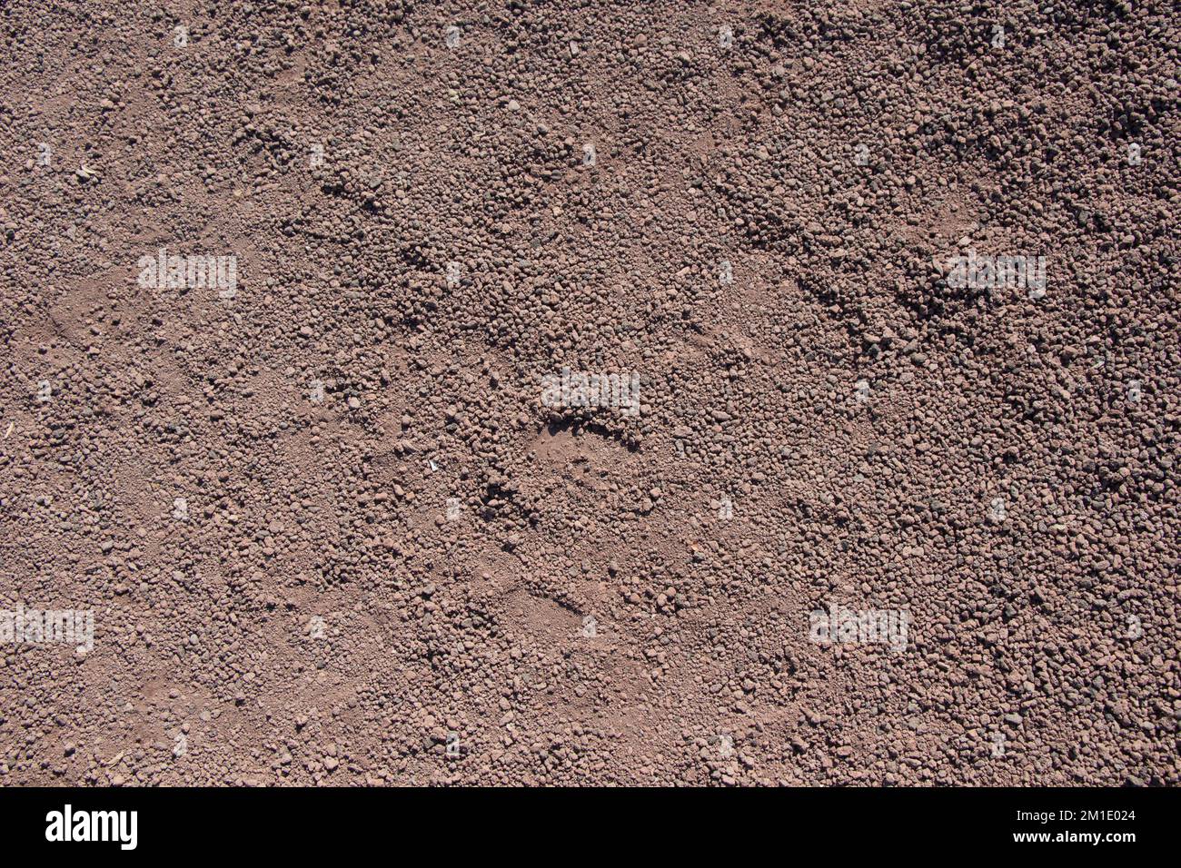 Soil surface as a background texture Stock Photo - Alamy