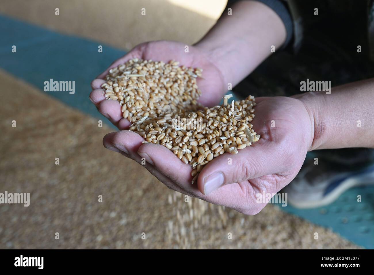 China granary hi-res stock photography and images - Alamy