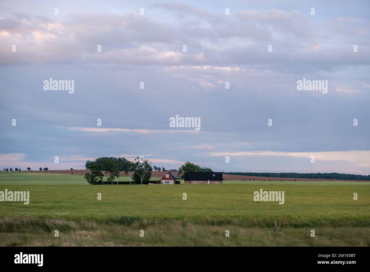 Barseback hi-res stock photography and images - Alamy