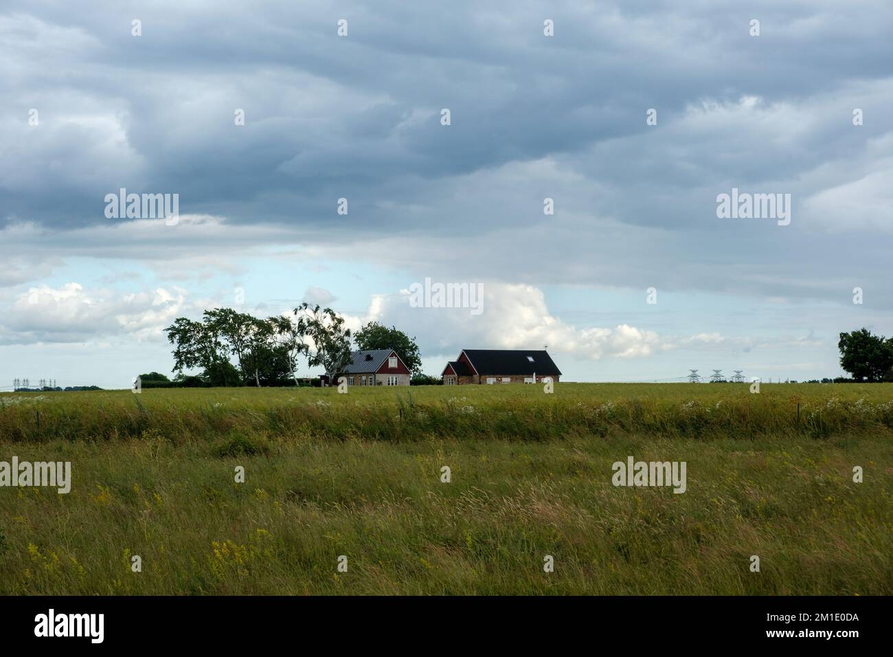 Barseback hi-res stock photography and images - Alamy