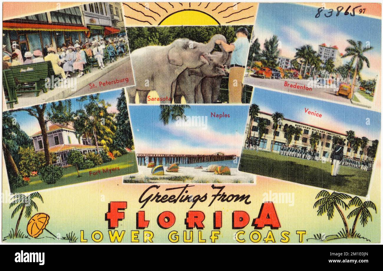 Greetings from Florida, lower gulf coast , Tichnor Brothers Collection ...
