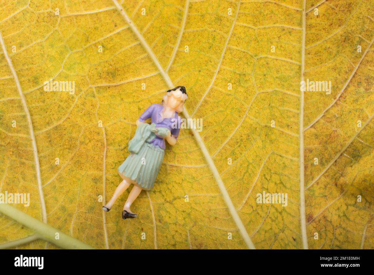 Little tiny woman figurine on a leaf macro Stock Photo - Alamy