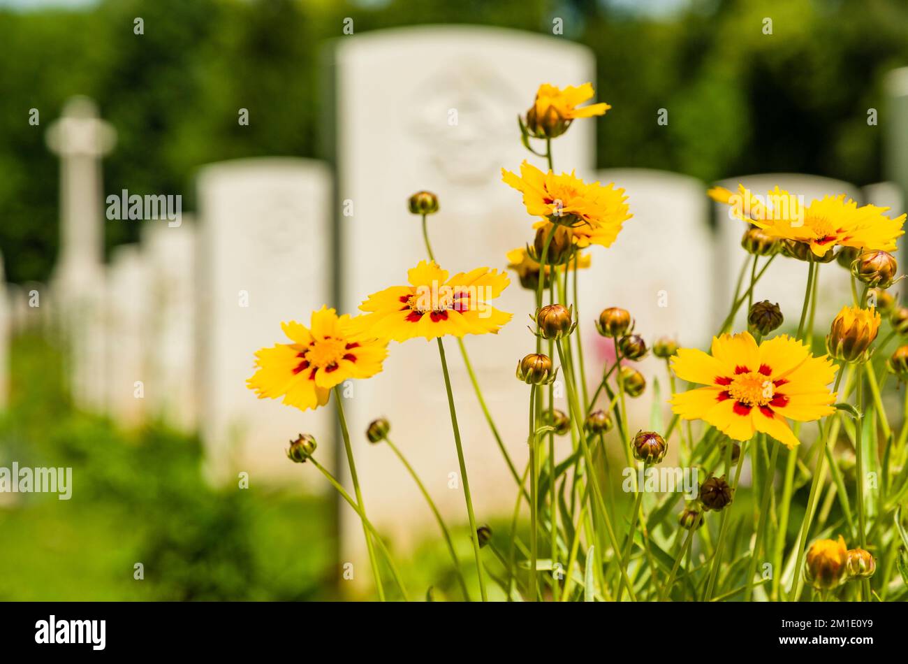 Durnbach War Cemetery is the final rest of 2960 soldiers who died in ...