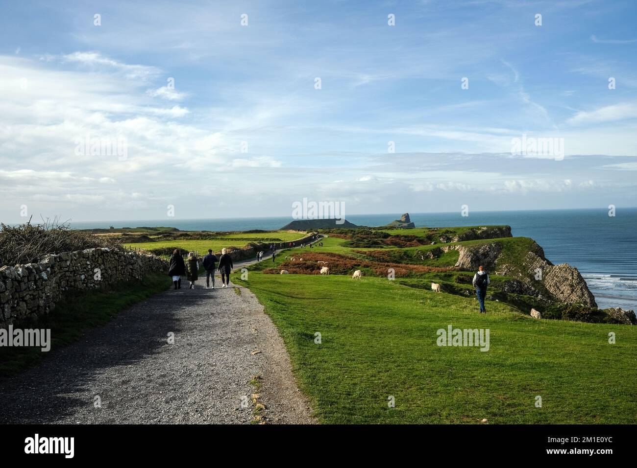 Gower peninsula worms head hi-res stock photography and images - Alamy