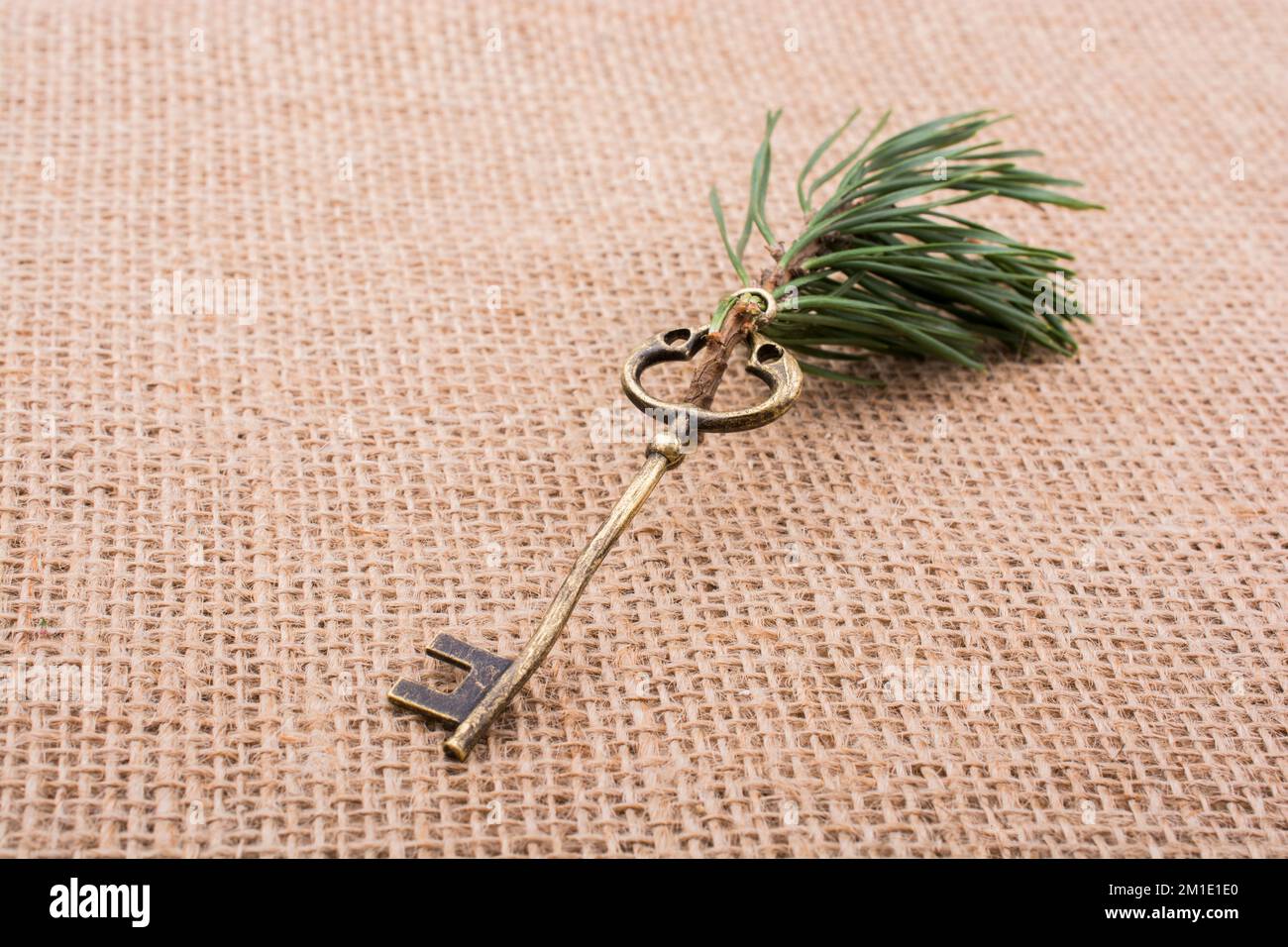 Green leaves key hi-res stock photography and images - Alamy
