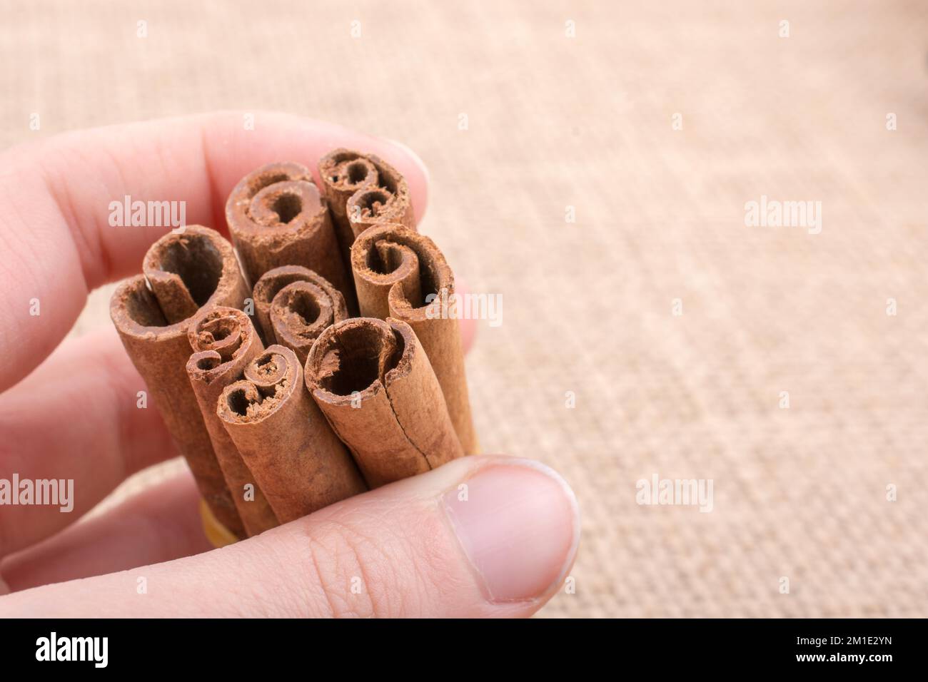 Bundle of cinnamon sticks on a linen canvas background Stock Photo - Alamy